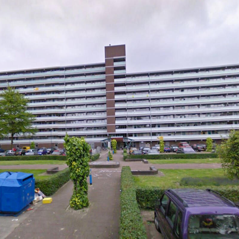 Samen Meerzicht mooier maken (2) | GroenLinks Zoetermeer